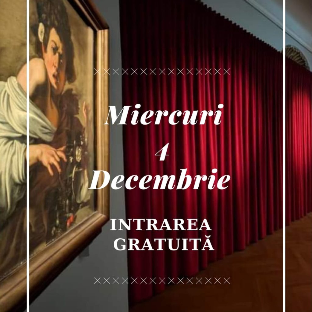 MNART – Muzeul Național de Artă Timișoara